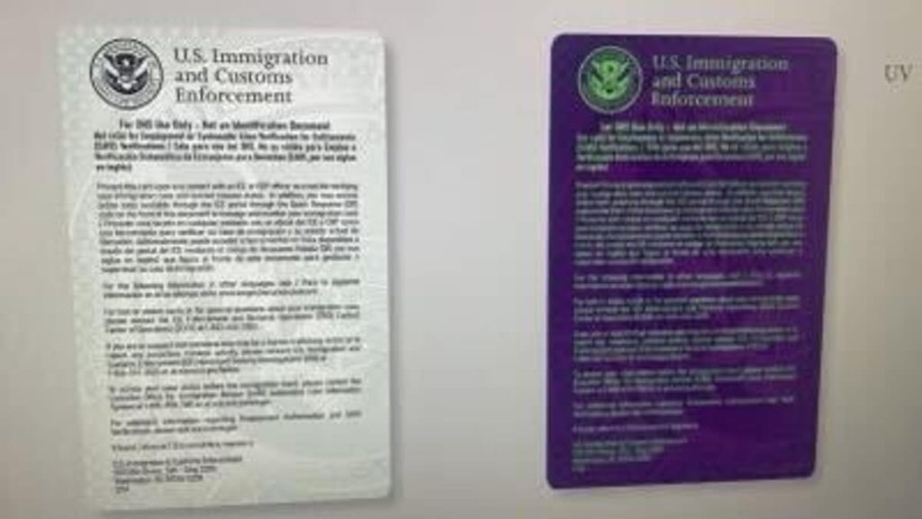 DHS Under Biden Administration to Issue Photo ID Cards to Undocumented ...